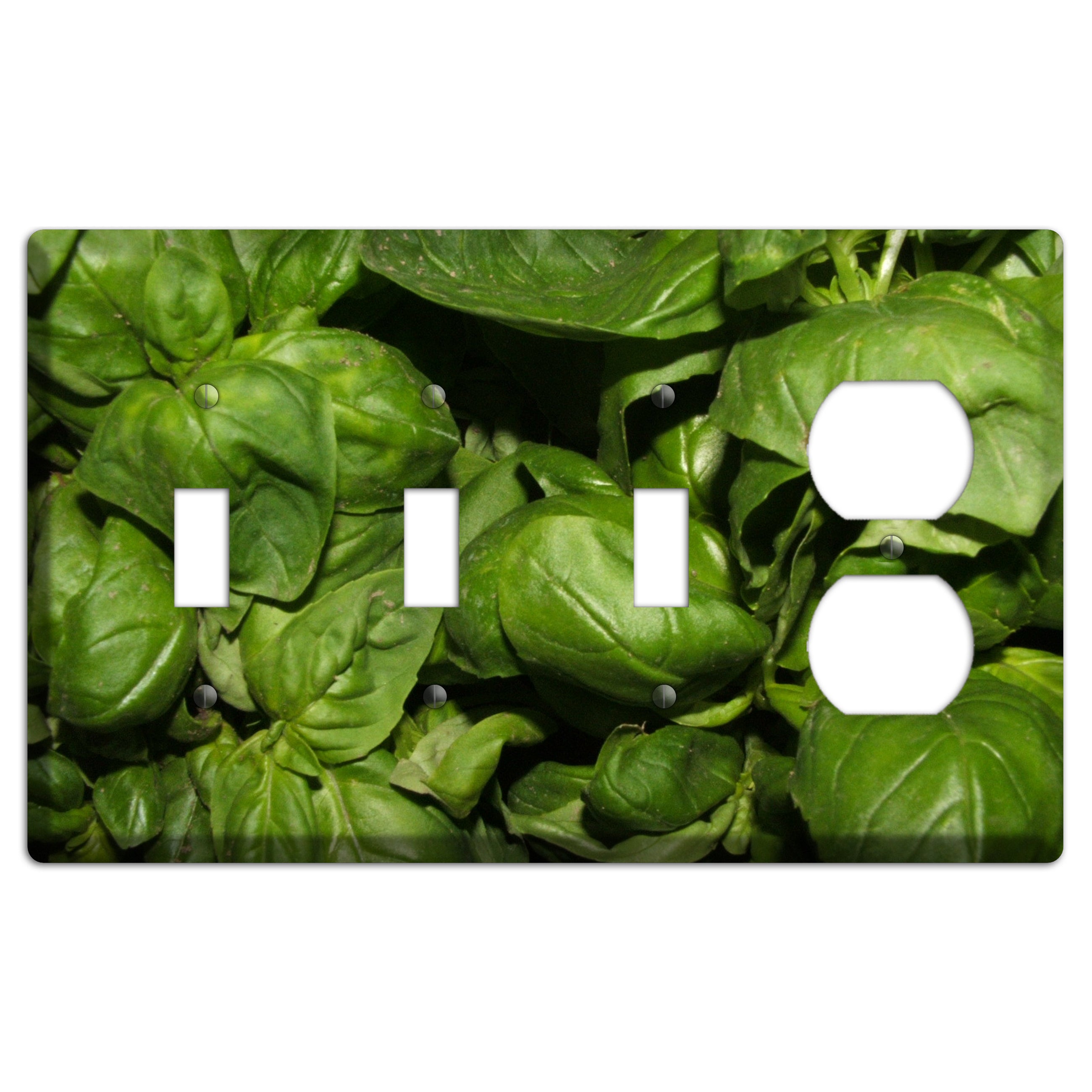 Basil 3 Toggle / Duplex Wallplate – Wallplates.com