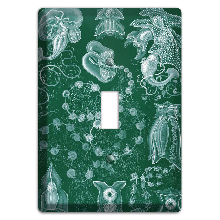 Biological – Wallplates.com