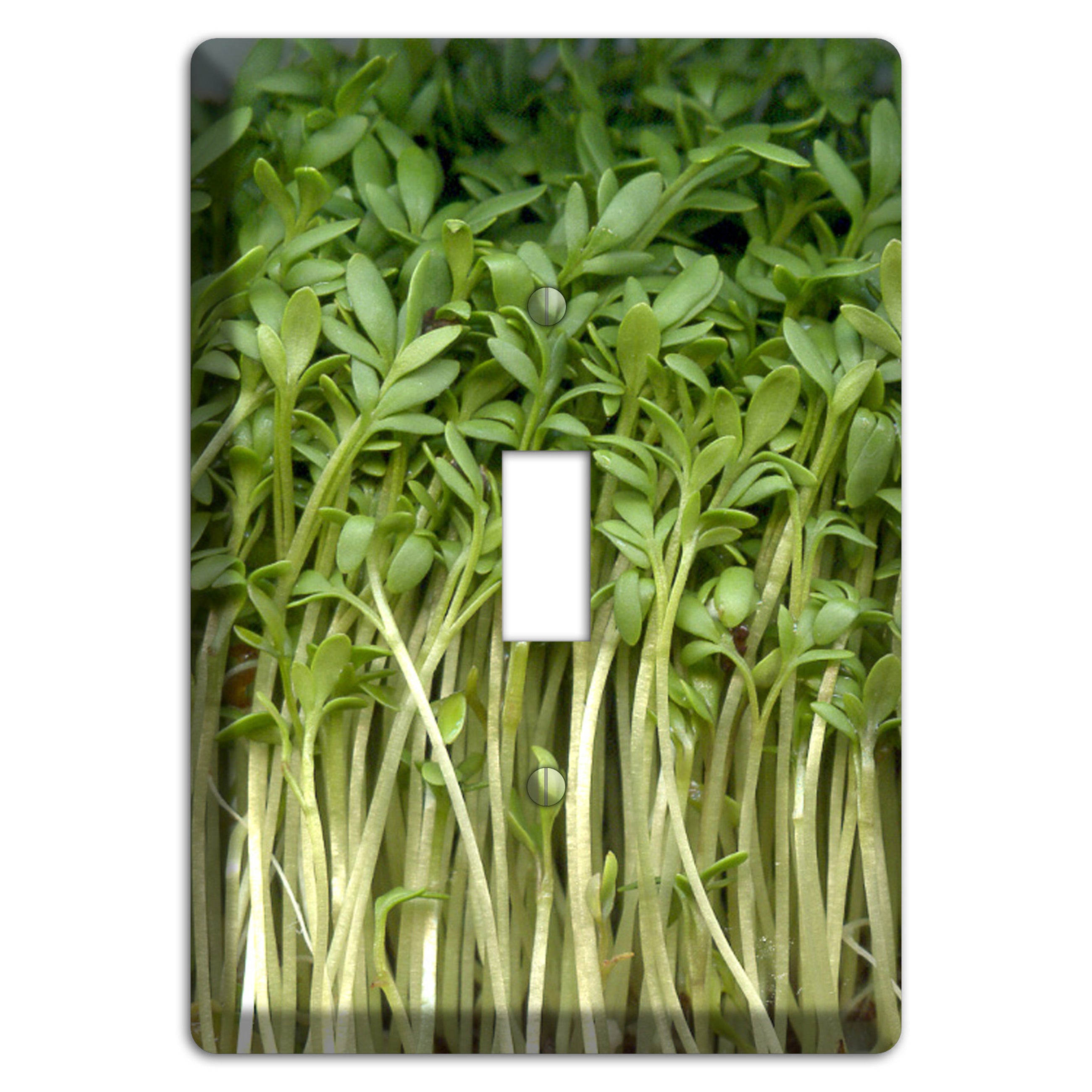 Sprouts Cover Plates – Wallplates.com
